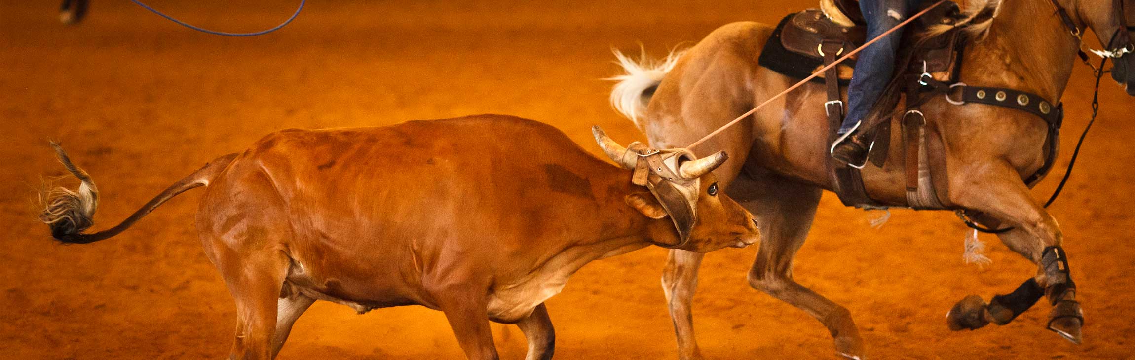 Important Numbers | Kern County Sheriff | Cowboy Bail Bonds